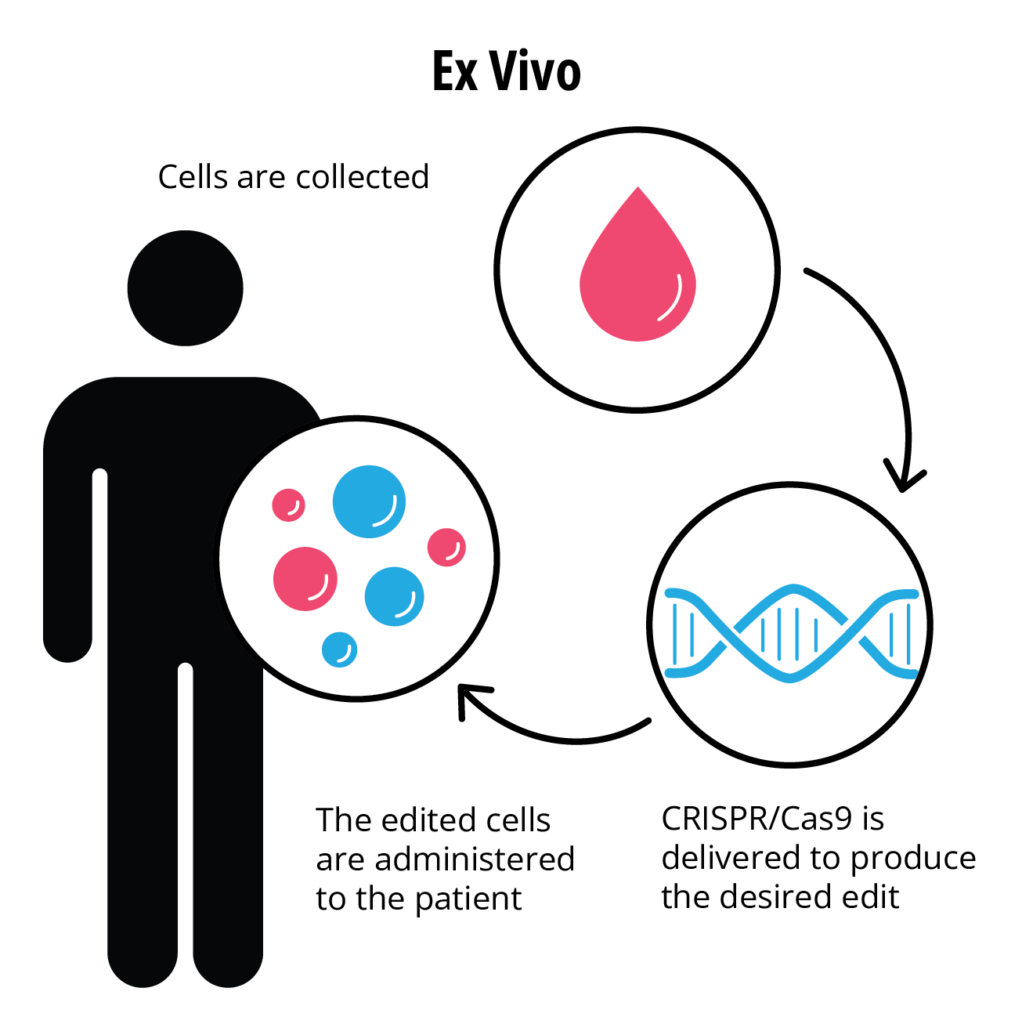 Considerations for manufacturing ex-vivo therapeutic products: CRISPR ...